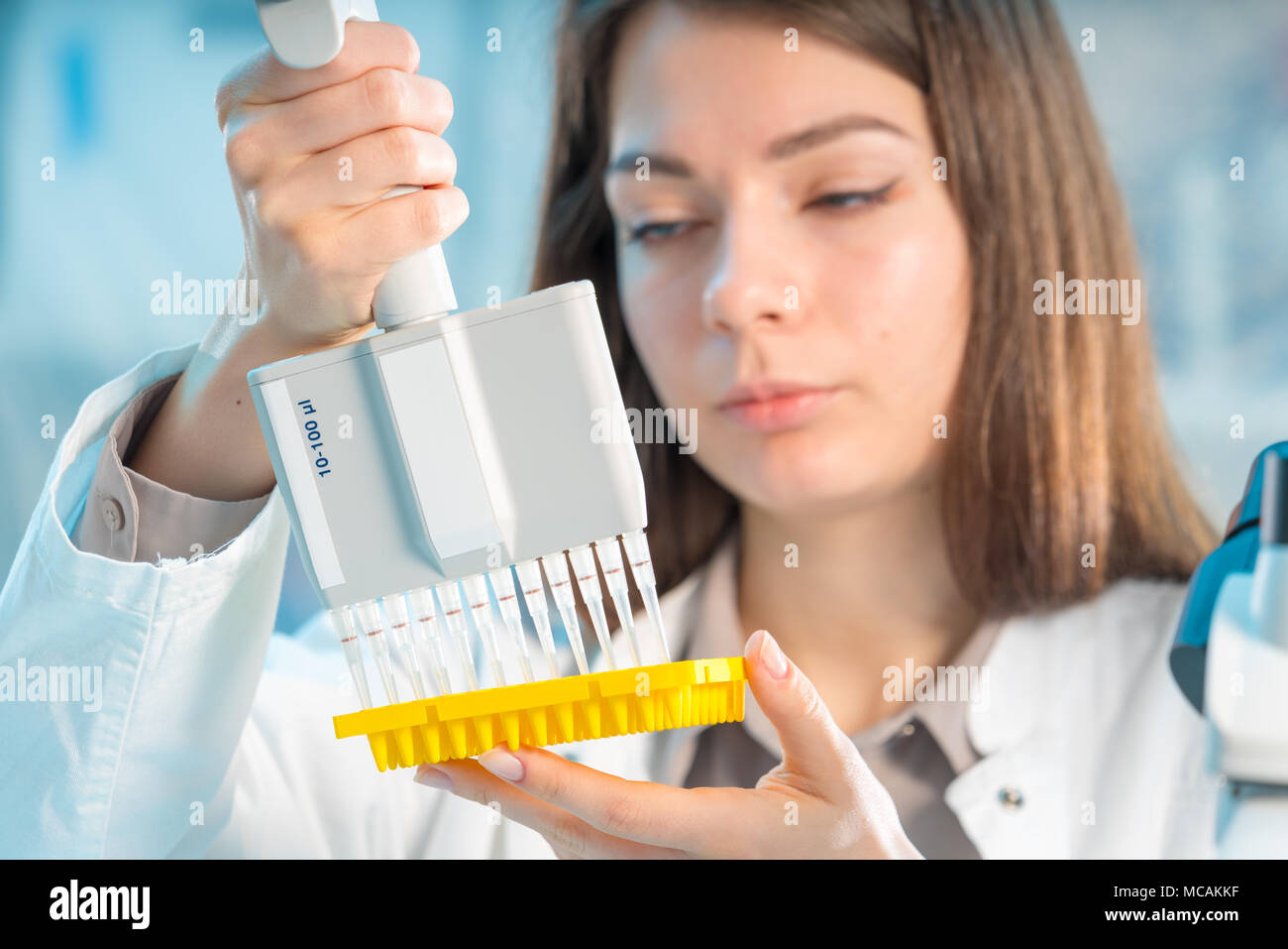 Microbiological laboratory scientist woman with multi channel pipette ...