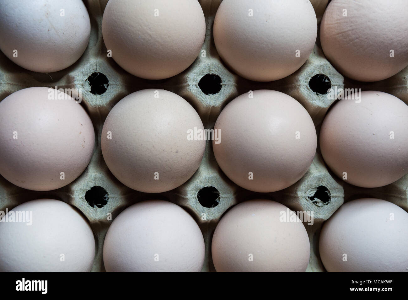 Eggs in carton cell Stock Photo - Alamy