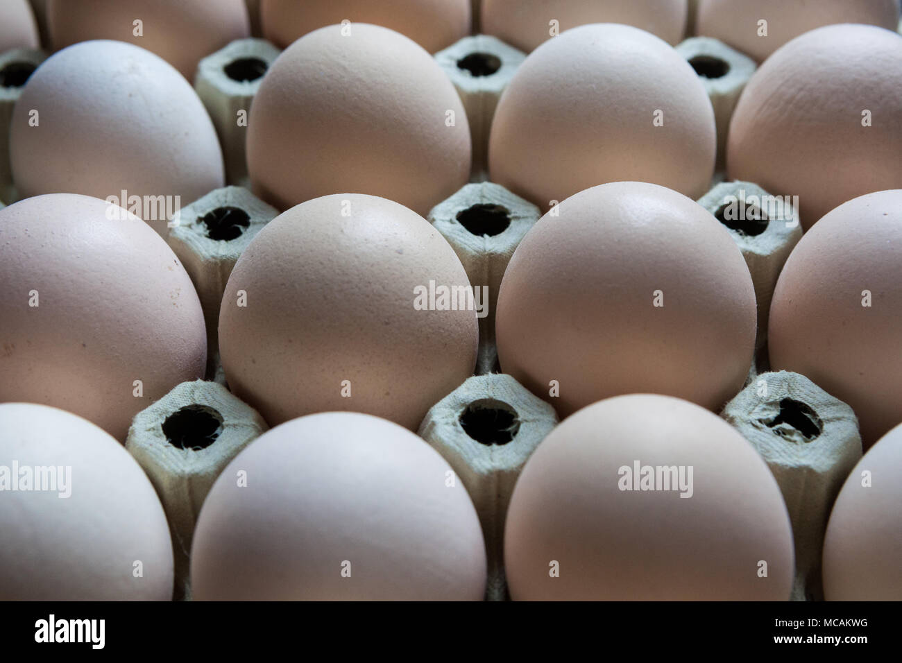 Eggs in carton cell Stock Photo - Alamy