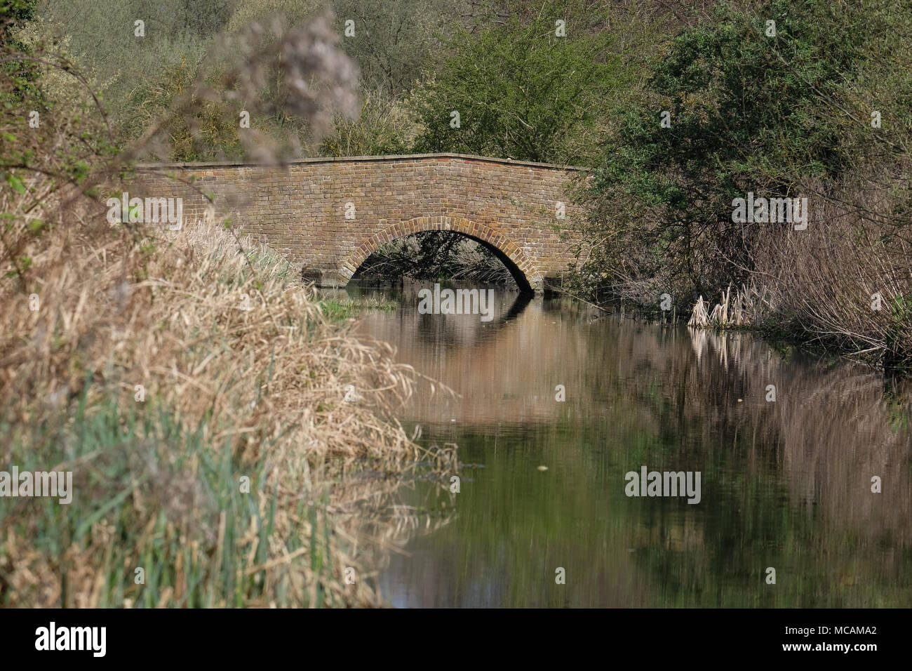 bridge over the river Stock Photo - Alamy