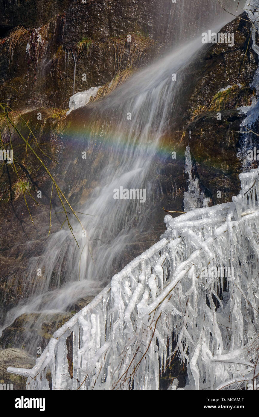 Ice frozen branches and cascading water, Ax les Thermes, Ariege, French ...