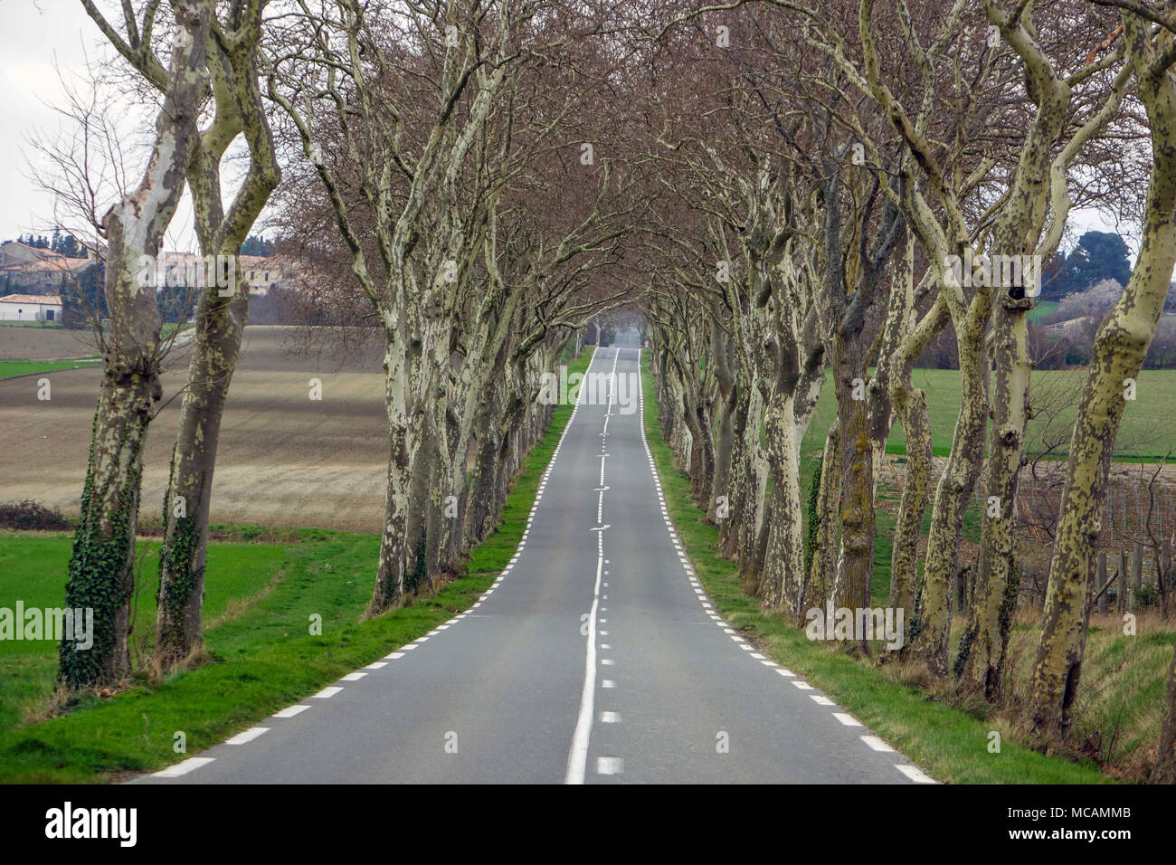 Beside road hi-res stock photography and images - Alamy