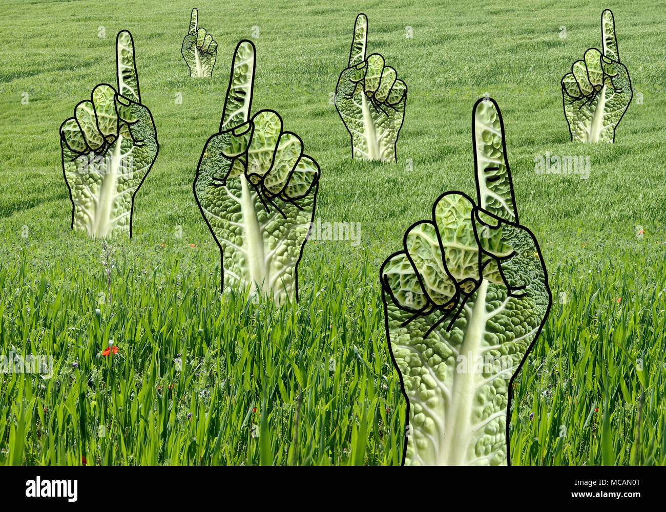 Human hand pointing finger growing hi-res stock photography and images ...
