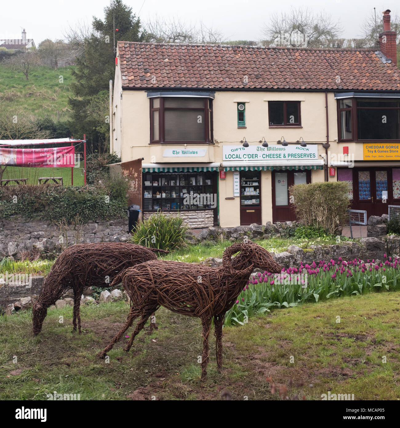 April 2018 - Wicker statues models of the Soay sheep in Cheddar Gorge ...