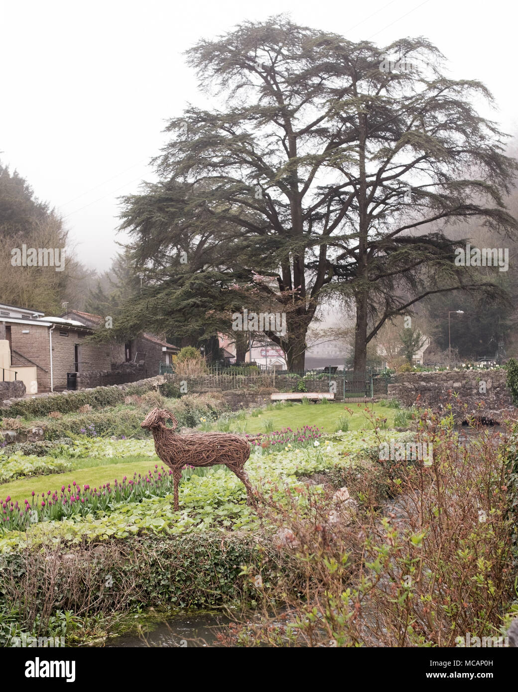 April 2018 - Wicker statues models of the Soay sheep in Cheddar Gorge ...