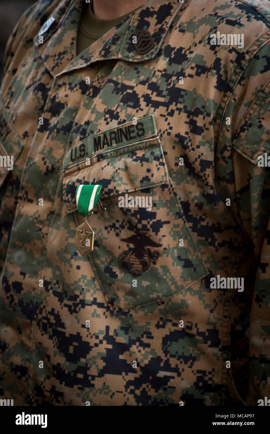 Gunnery Sgt. Matthew Hardy wears a newly awarded Navy-Marine Corps ...