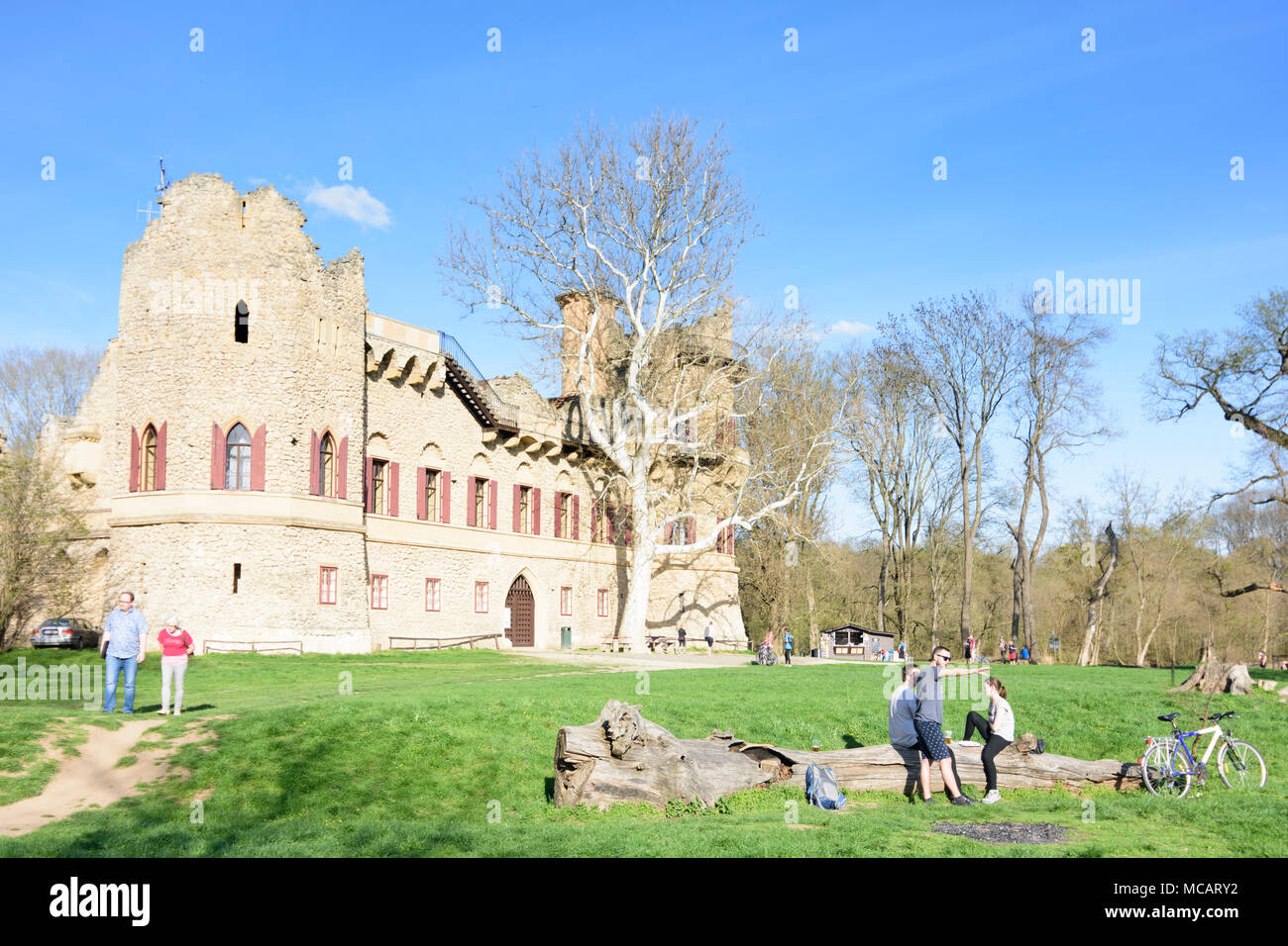 Lednice (Eisgrub) : castle ruin Januv Hrad (Hansenburg) in ...