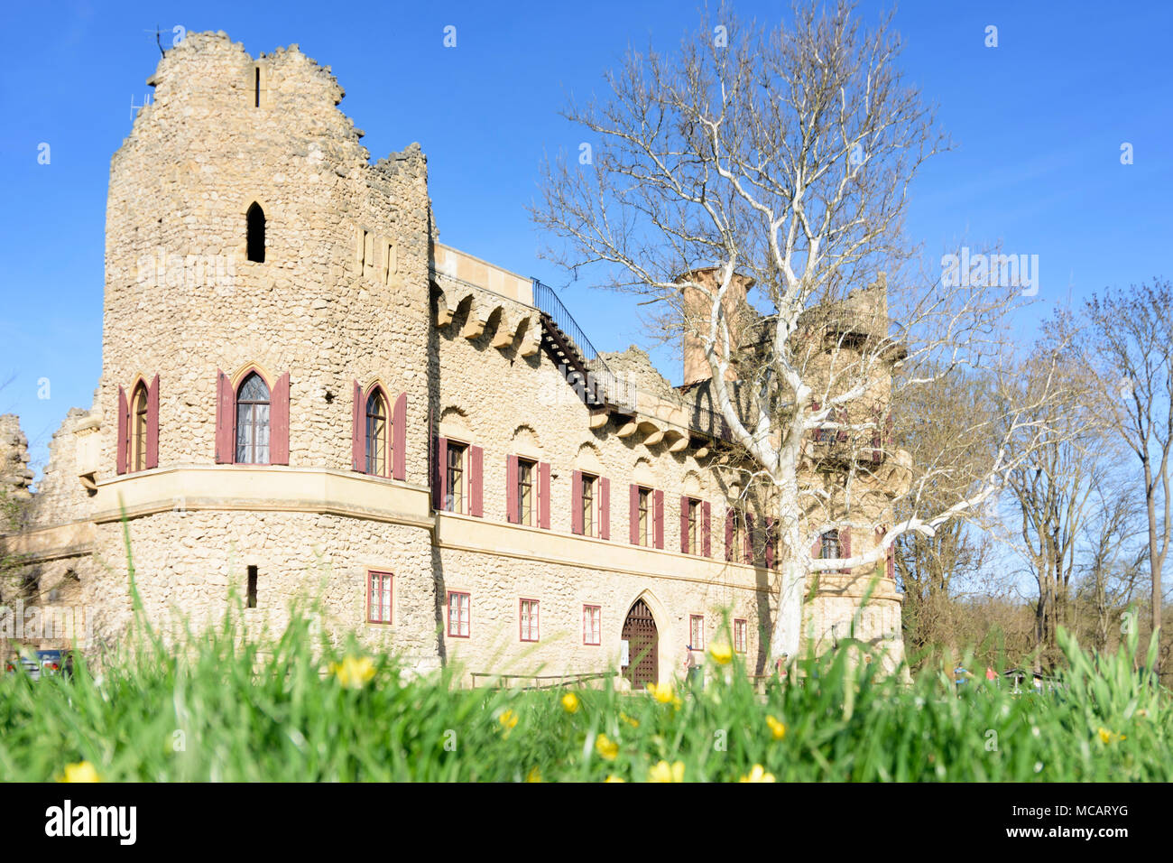Lednice (Eisgrub) : castle ruin Januv Hrad (Hansenburg) in ...
