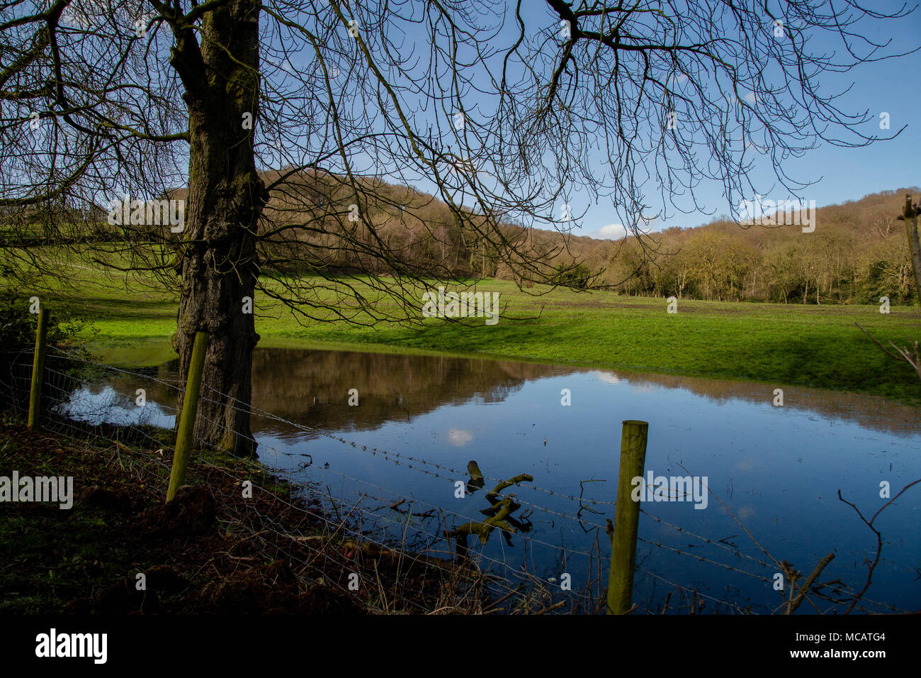 Saturated land hi-res stock photography and images - Alamy