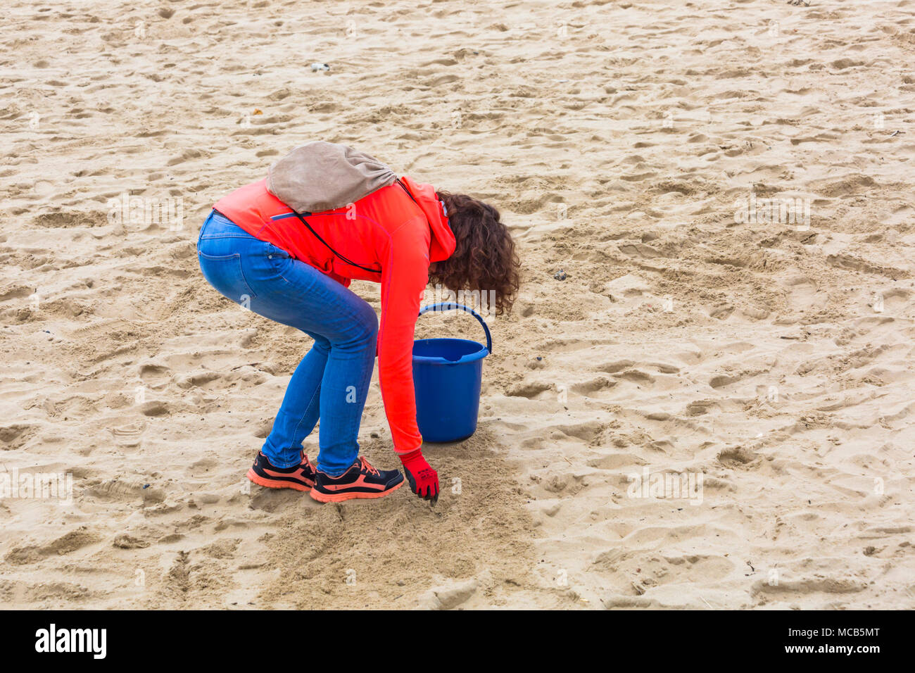 Beach cleanup surfers hi-res stock photography and images - Alamy