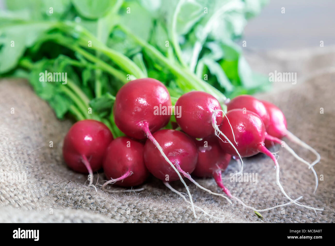 Large pile of radishes hi-res stock photography and images - Alamy