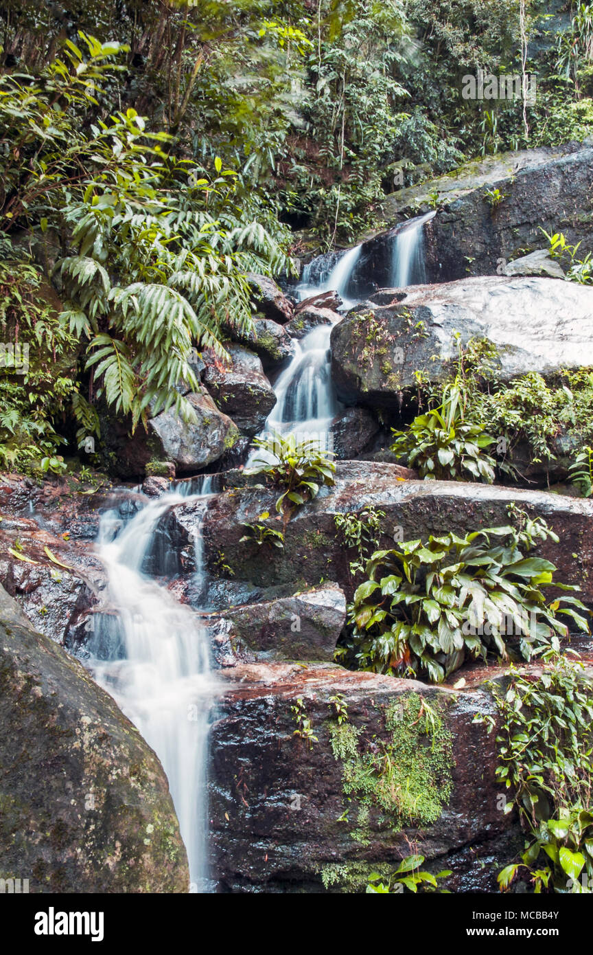 Tijuca national park waterfall hi-res stock photography and images - Alamy