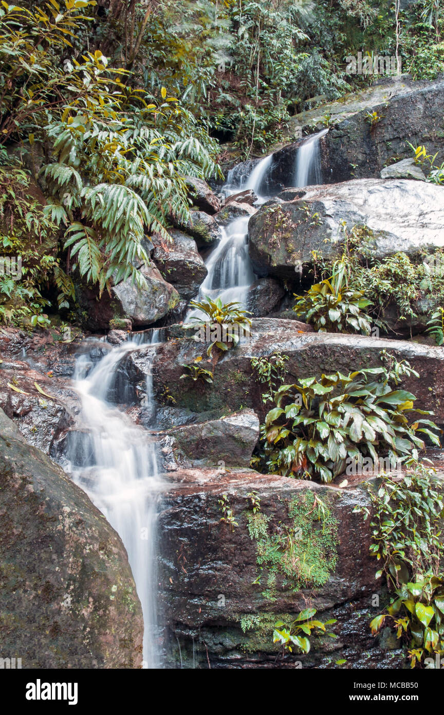 Waterfall in Tijuca park in Rio Stock Photo - Alamy