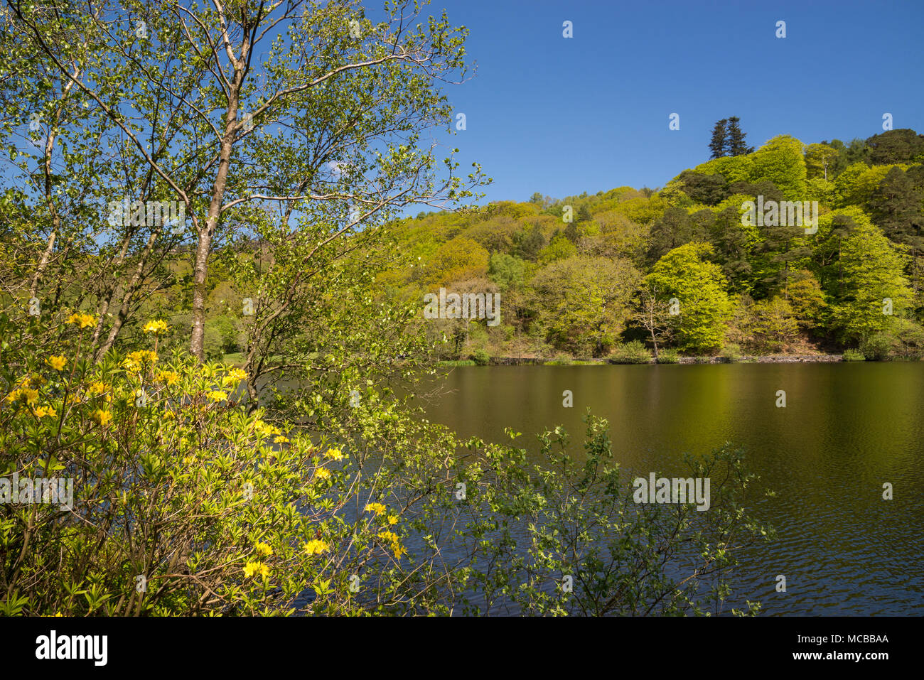 Maentwrog hi-res stock photography and images - Alamy