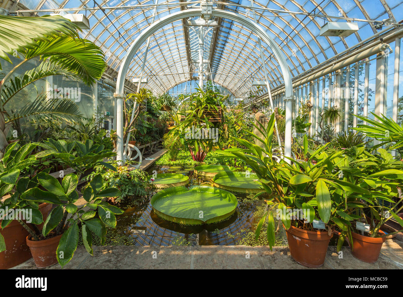 Greenhouse for aquatic plants hi-res stock photography and images - Alamy