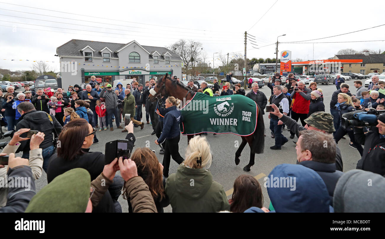 Gordon elliot horse hi-res stock photography and images - Alamy