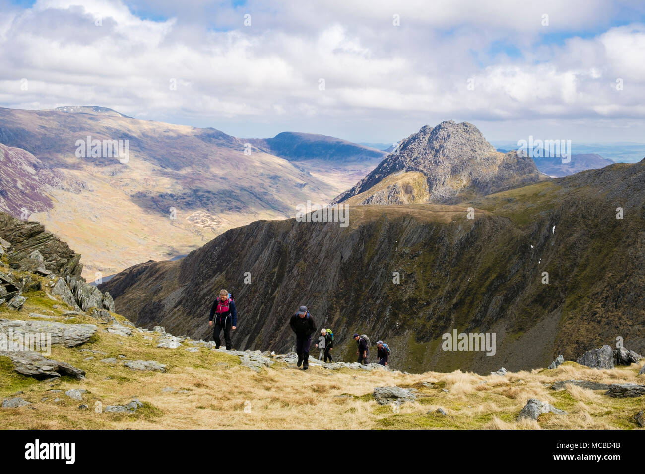 Hikers hiking up Seniors Ridge to Glyder Fawr in Glyderau mountains ...