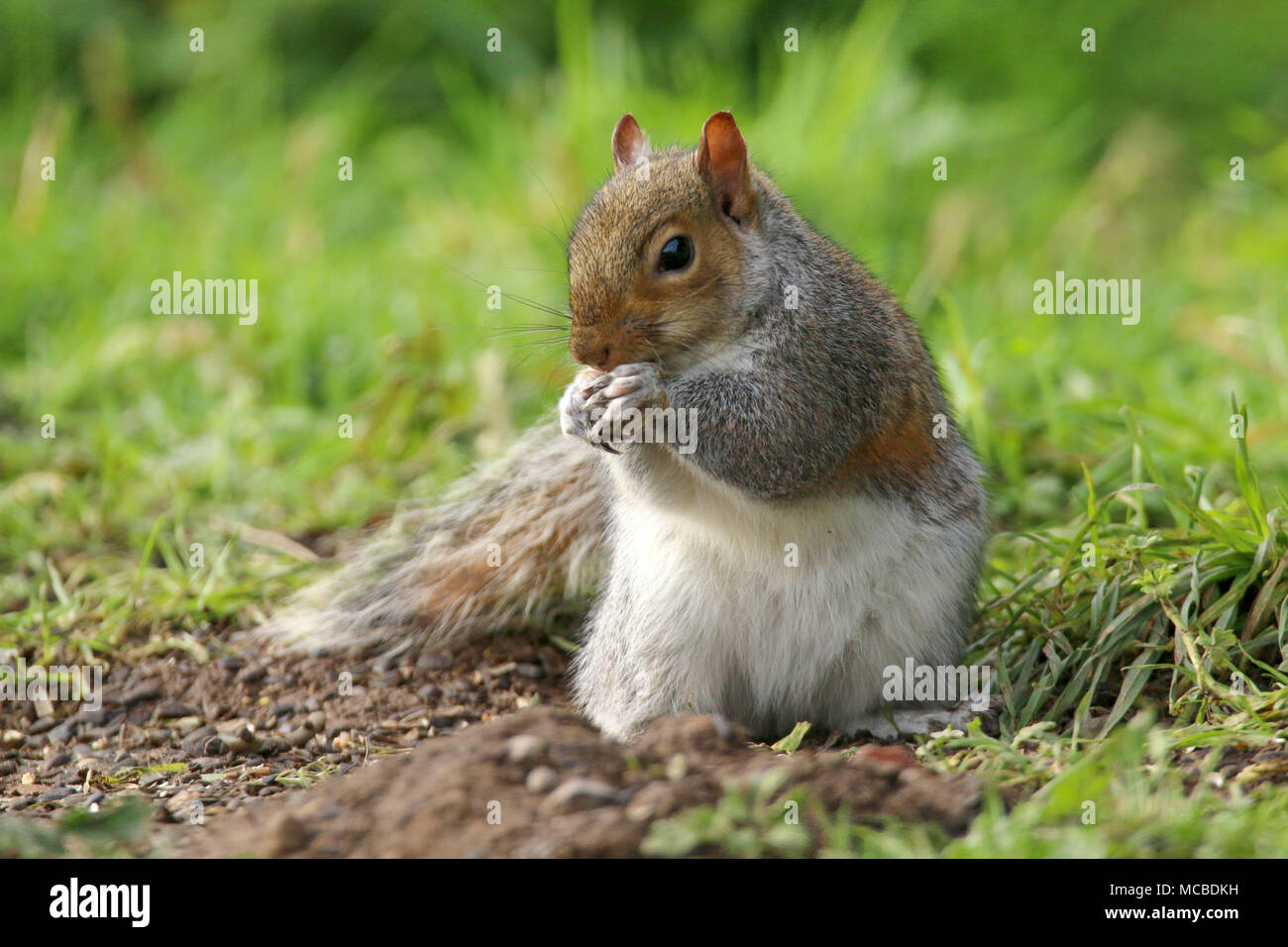 Davies calendar hi-res stock photography and images - Alamy