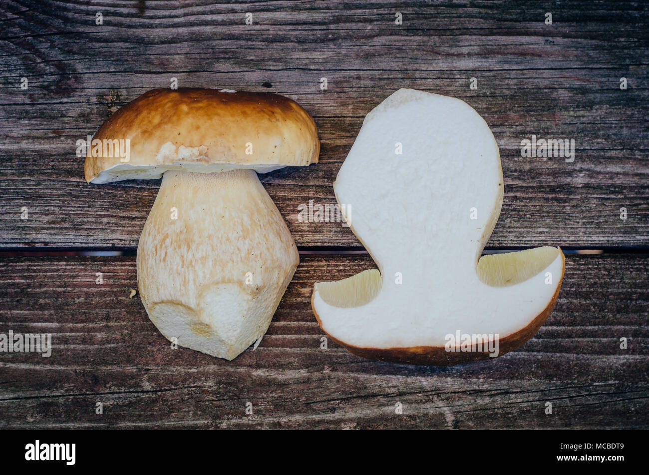 Porcino mushrooms hi-res stock photography and images - Alamy