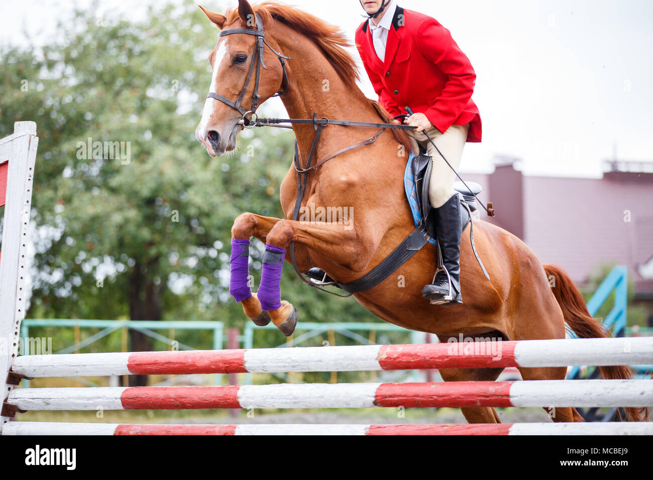 Young rider man jumping on horse over obstacle on show jumping ...