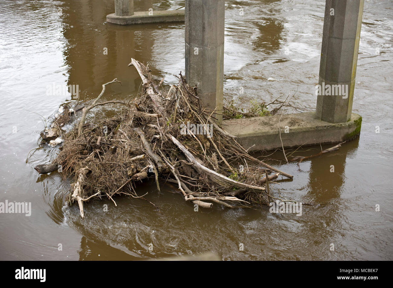 Flotsam tree debris piled up on bridge supports after River Wye flood ...