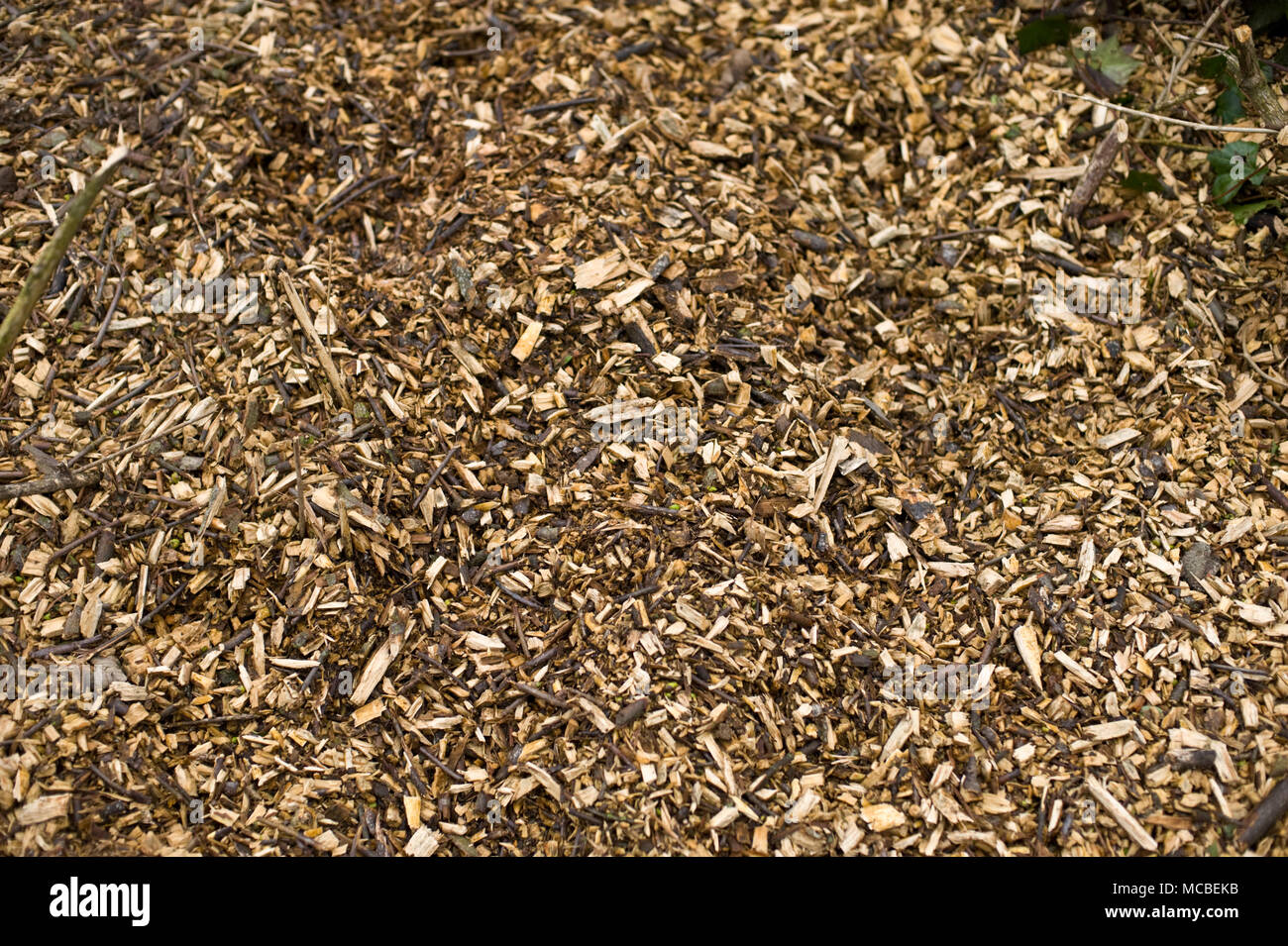 Woodchip pile hi-res stock photography and images - Alamy