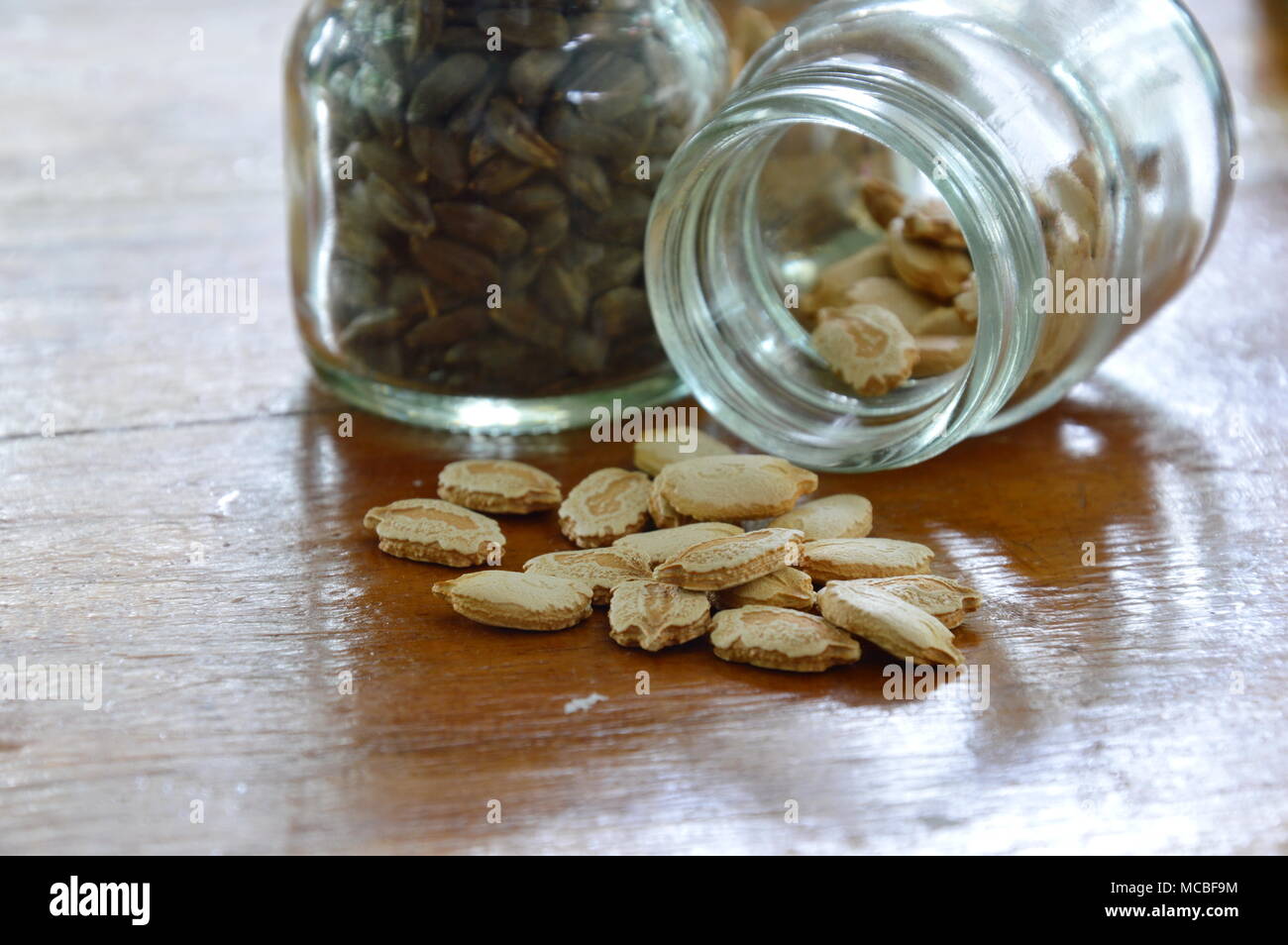 Viable seed hi-res stock photography and images - Alamy