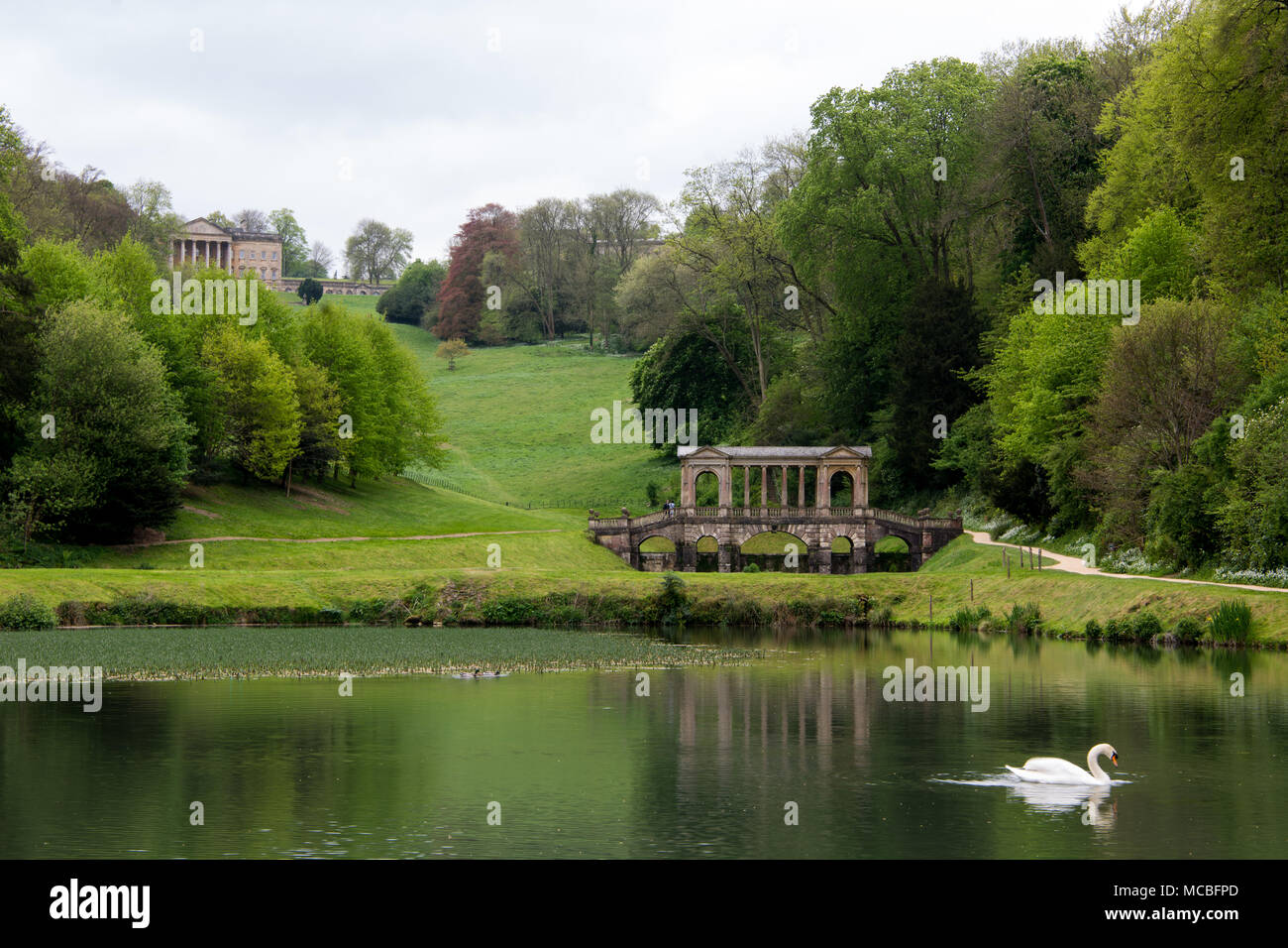Prior park landscape garden hi-res stock photography and images - Alamy