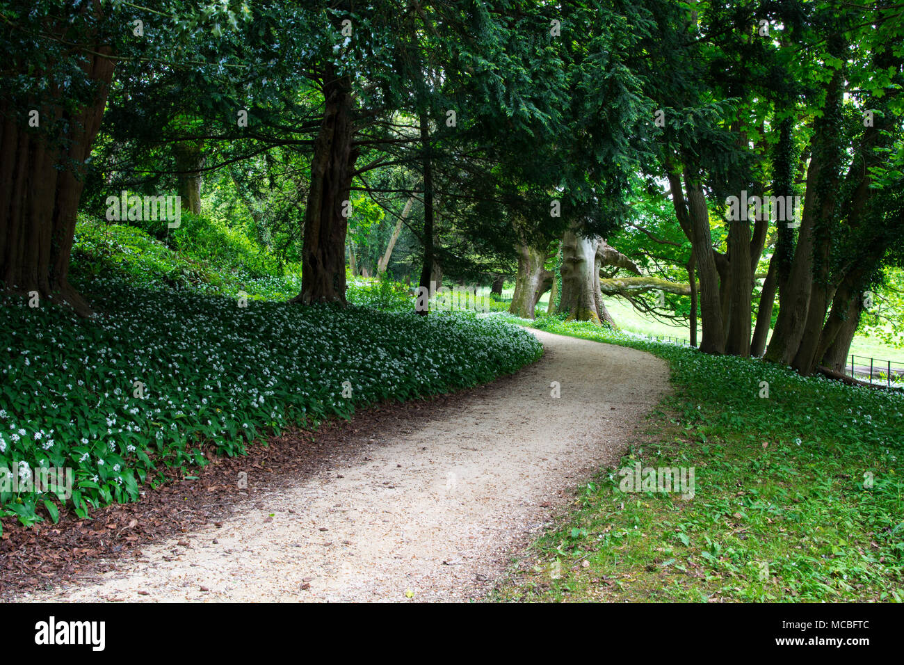 The Prior Park in Bath, UK is a classic example of an 18th century ...