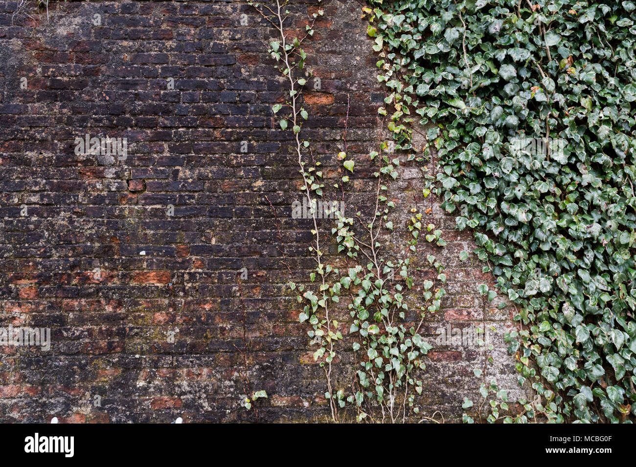 Plain brick wall brickwork hi-res stock photography and images - Alamy