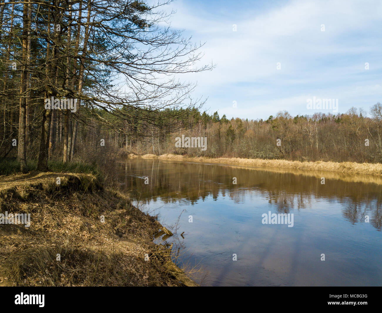 drone image. aerial view of forest river with sandstone cliffs in ...