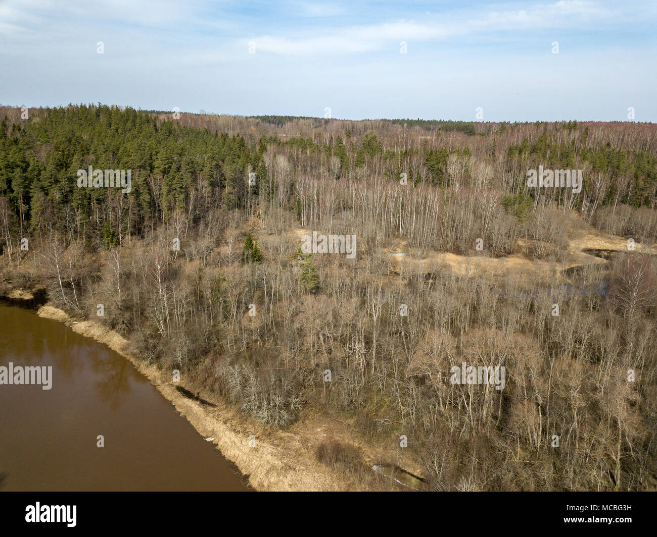 drone image. aerial view of forest river with sandstone cliffs in ...