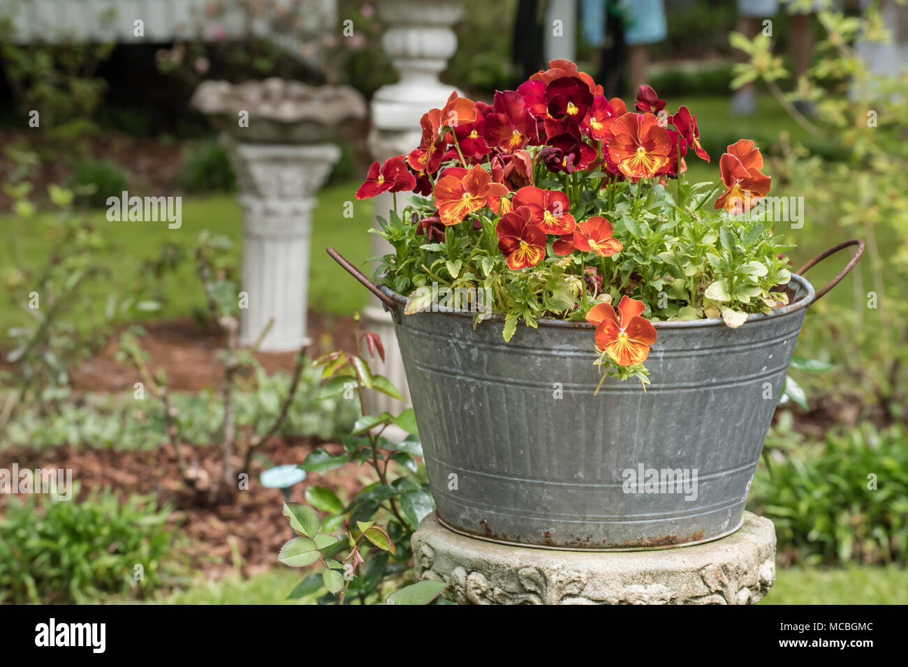 Welcome Spring at the Azalea Festival in Wilmington, NC 2018 - flowers ...