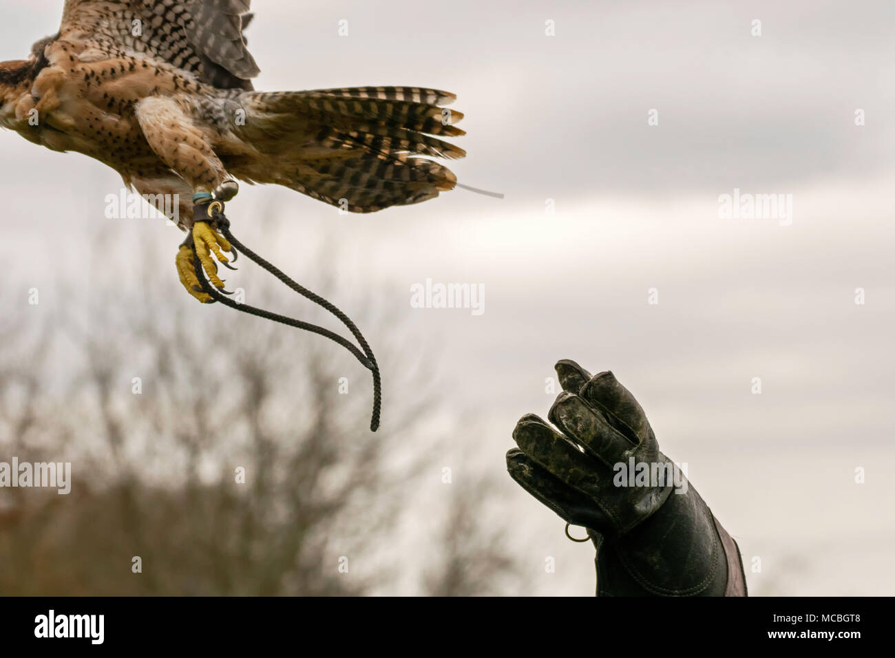 Hand letting hi-res stock photography and images - Alamy