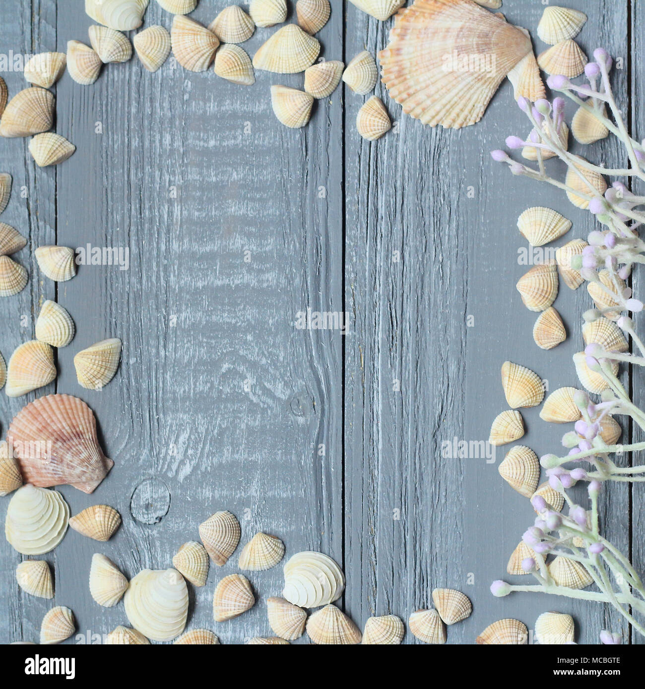 blue wooden background with seashells and corals Stock Photo - Alamy