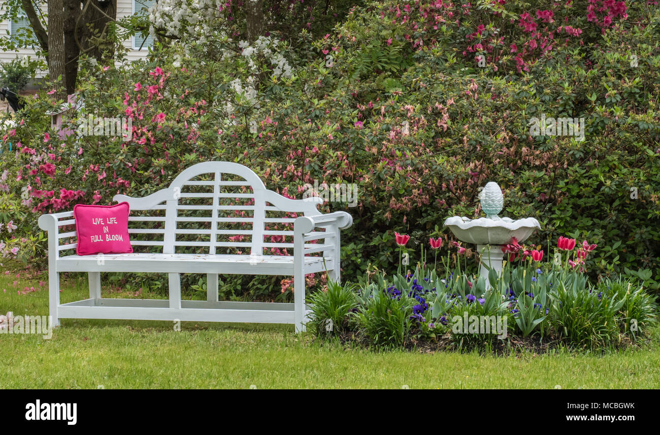 Welcome Spring at the Azalea Festival in Wilmington, NC 2018 - flowers ...