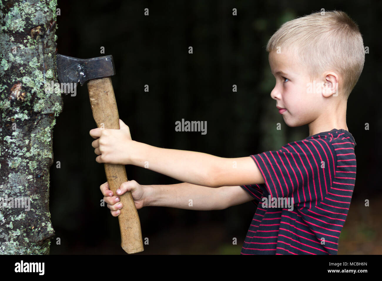 Small boy with heavy old iron axe cutting tree trump in forest on ...