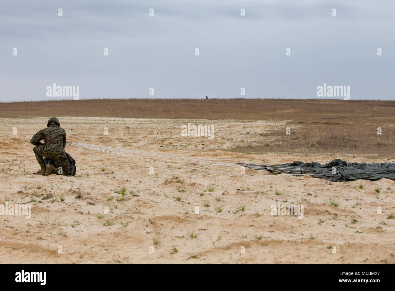 U s army dental corps hi-res stock photography and images - Alamy
