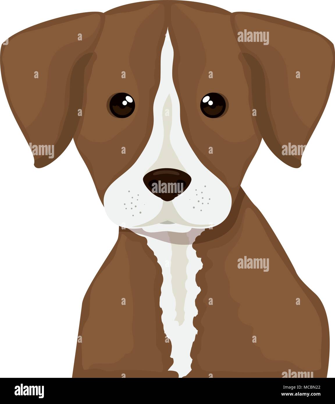 cute dog breed character vector illustration design Stock Vector Image ...