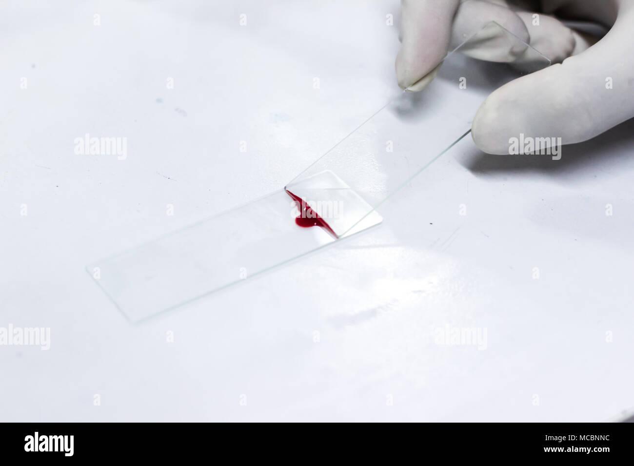 White blood cell drawing hi-res stock photography and images - Alamy