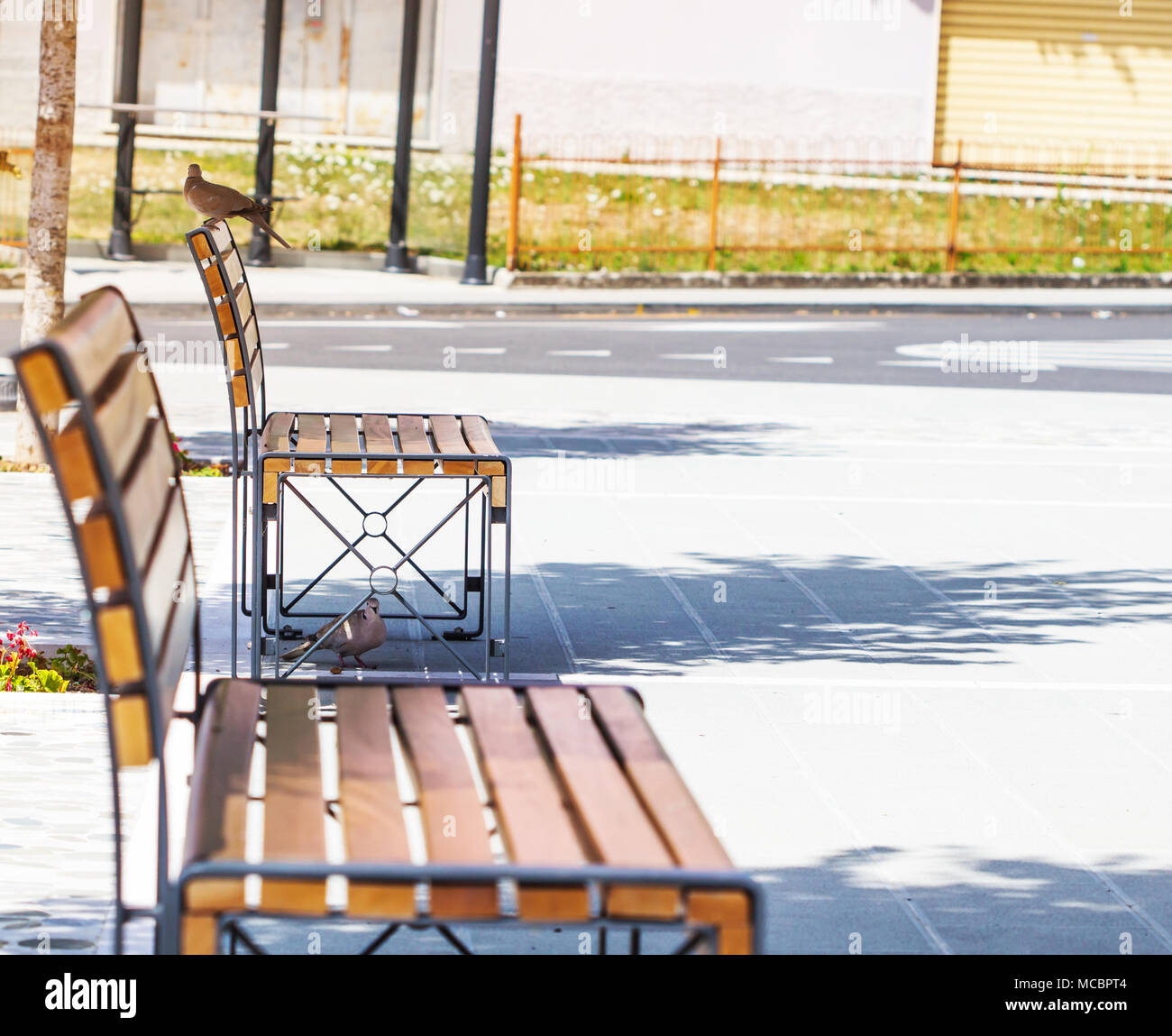 Wooden bench under shade hi-res stock photography and images - Alamy