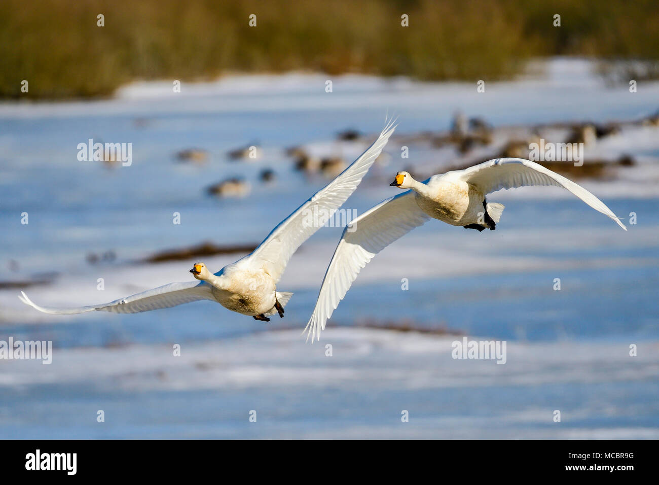 Flyby hi-res stock photography and images - Alamy