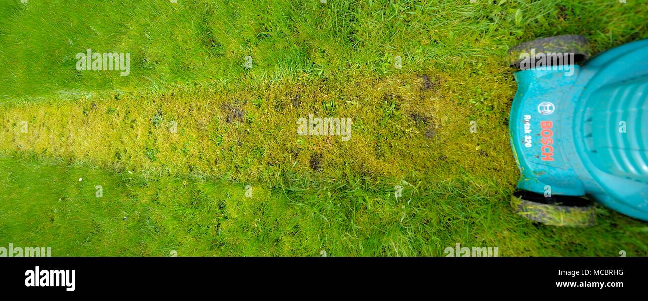 First lawn cut of the year Stock Photo - Alamy