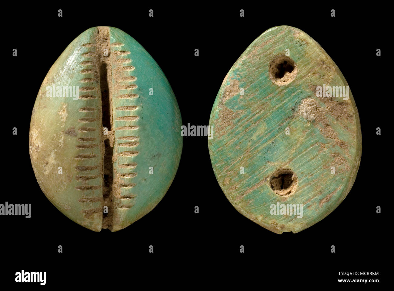 Ancient currency shell hi-res stock photography and images - Alamy