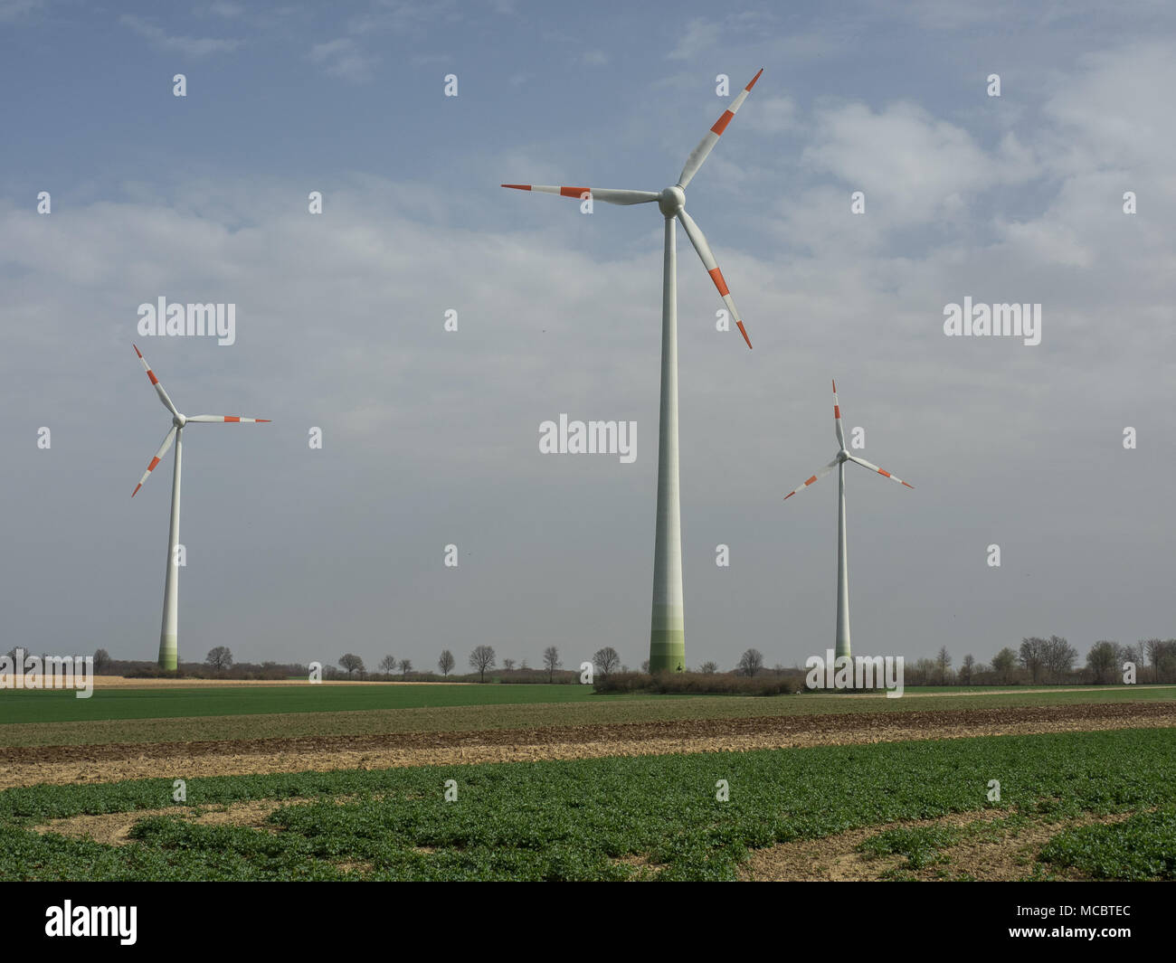 spring time in the german muensterland Stock Photo - Alamy