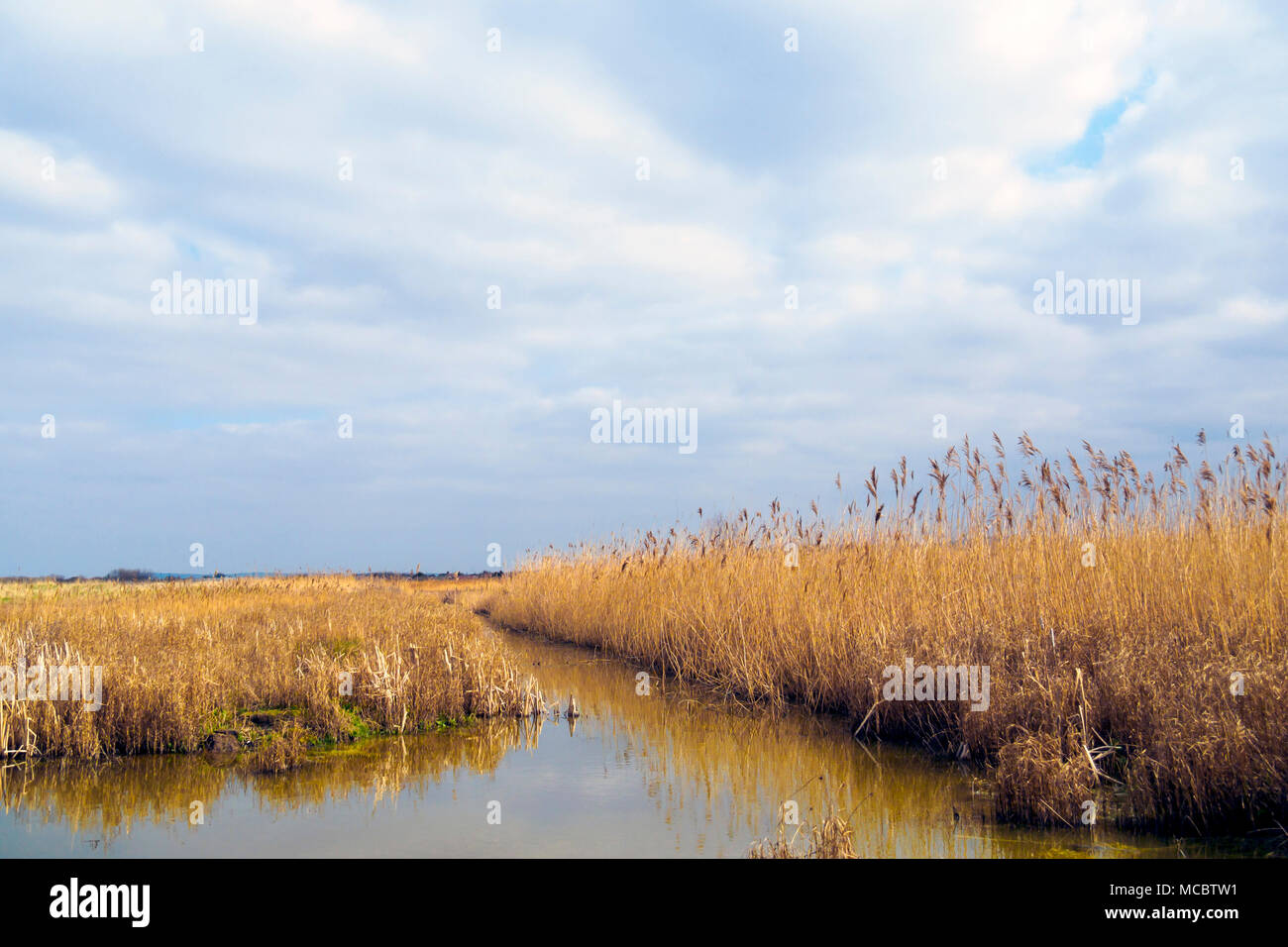 Coatham marsh hi-res stock photography and images - Alamy