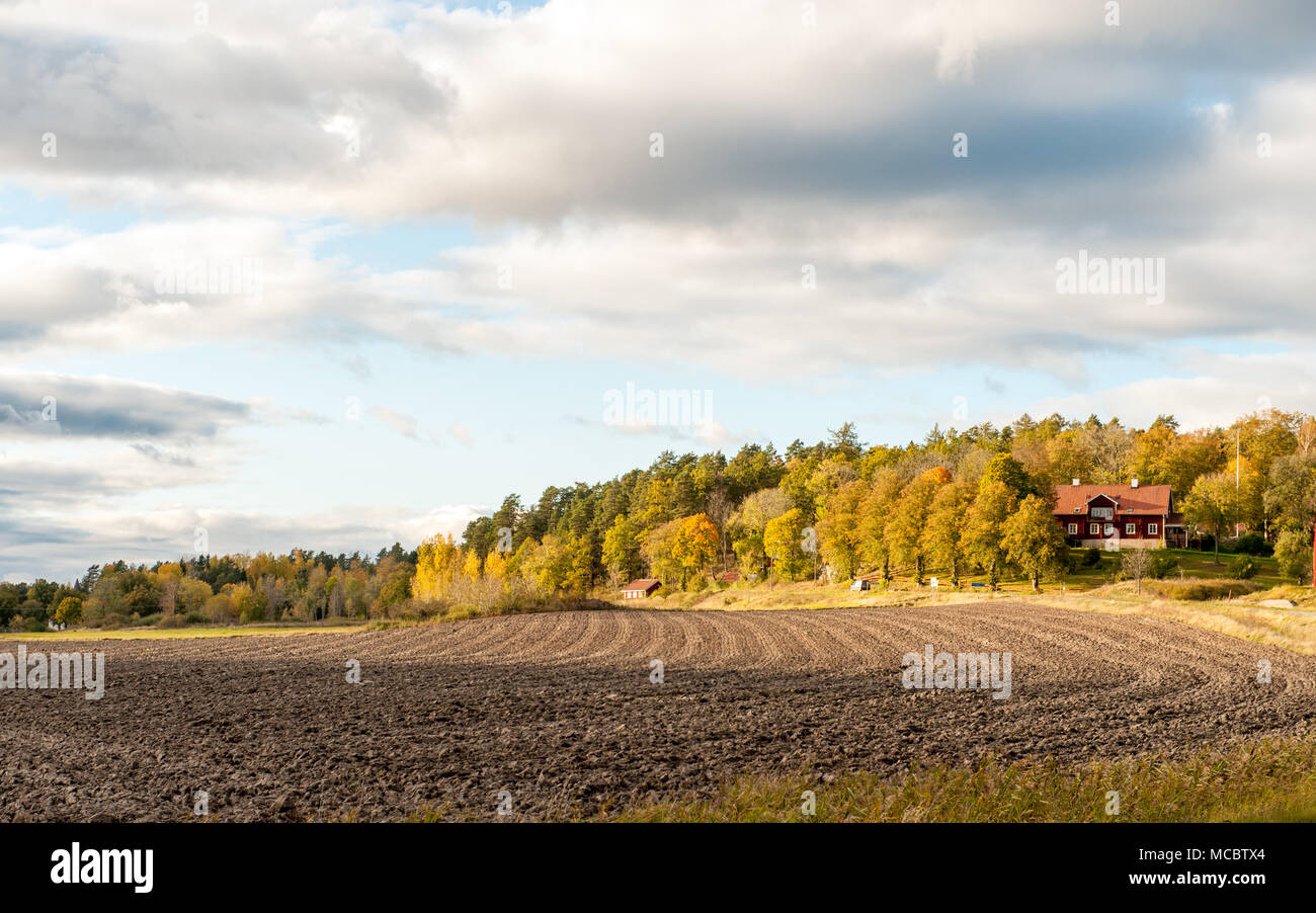 Swedish Scandinavian Nordic Agriculture Countryside Nature Landscape ...