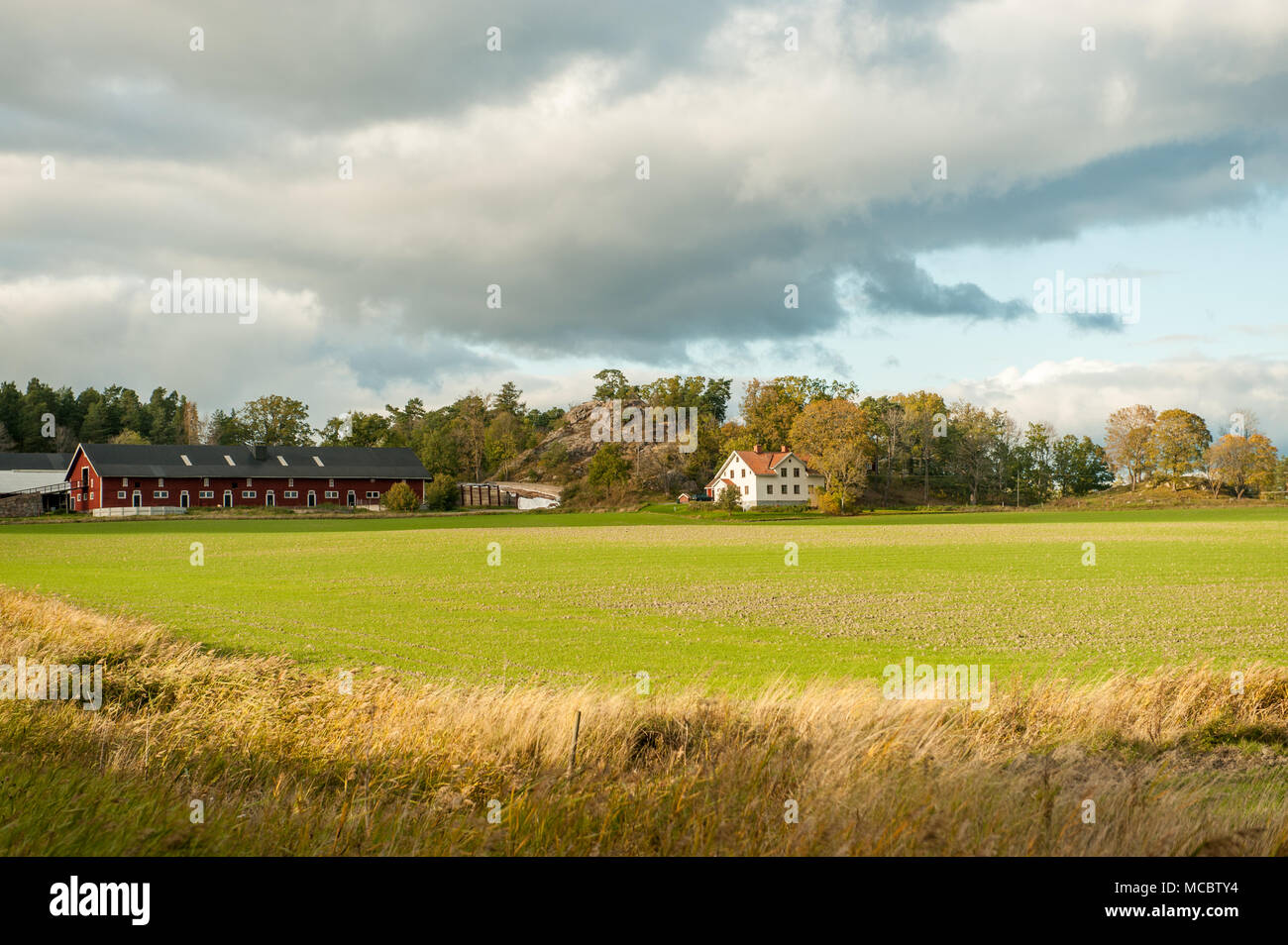 Swedish scandinavian nordic agriculture countryside nature landscape ...