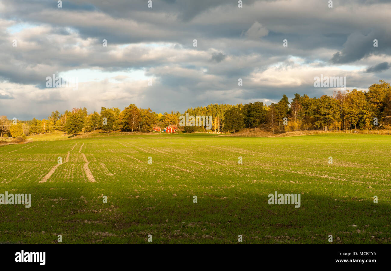 Swedish scandinavian nordic agriculture countryside nature landscape ...