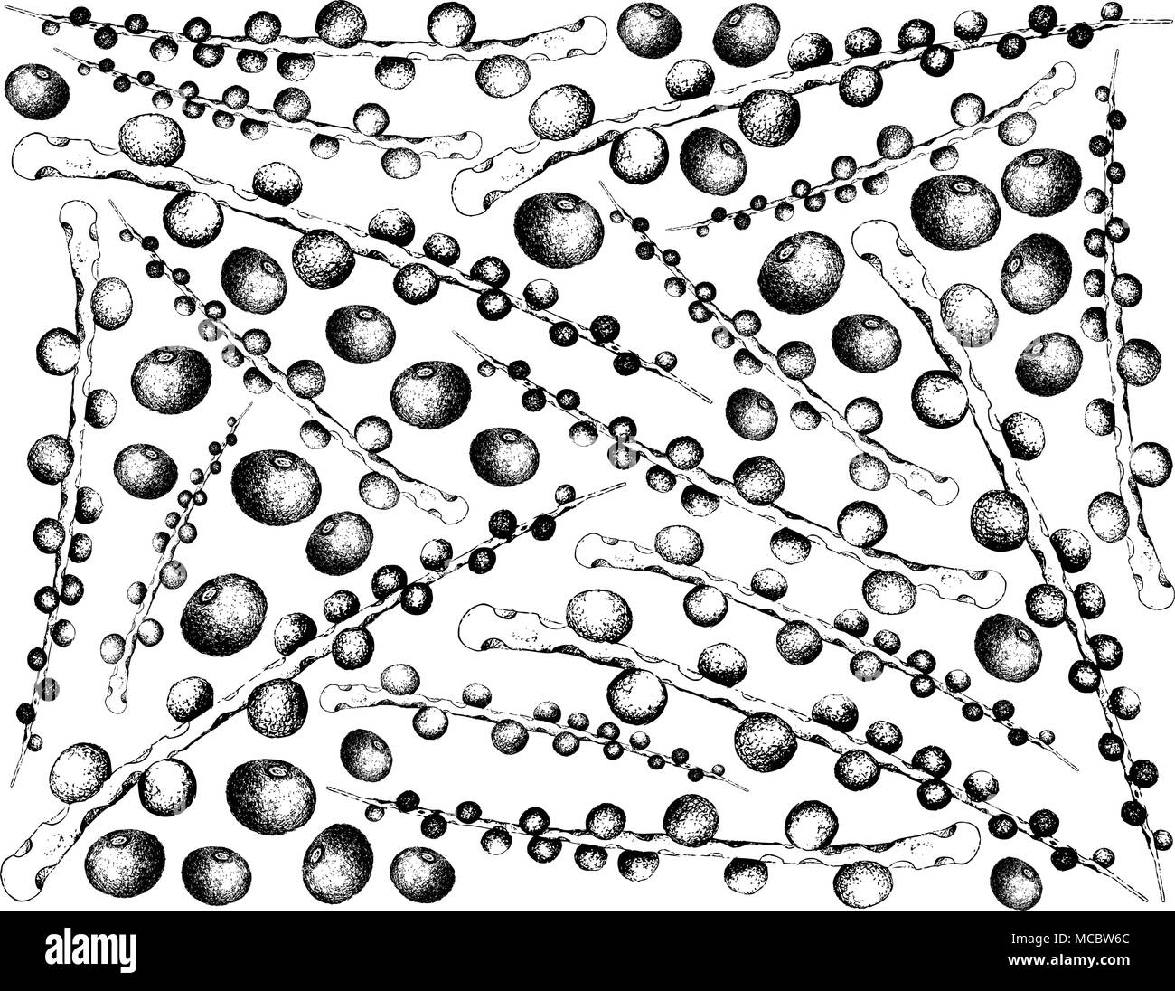 Berry Fruit, Illustration Wallpaper Background of Hand Drawn Sketch of ...